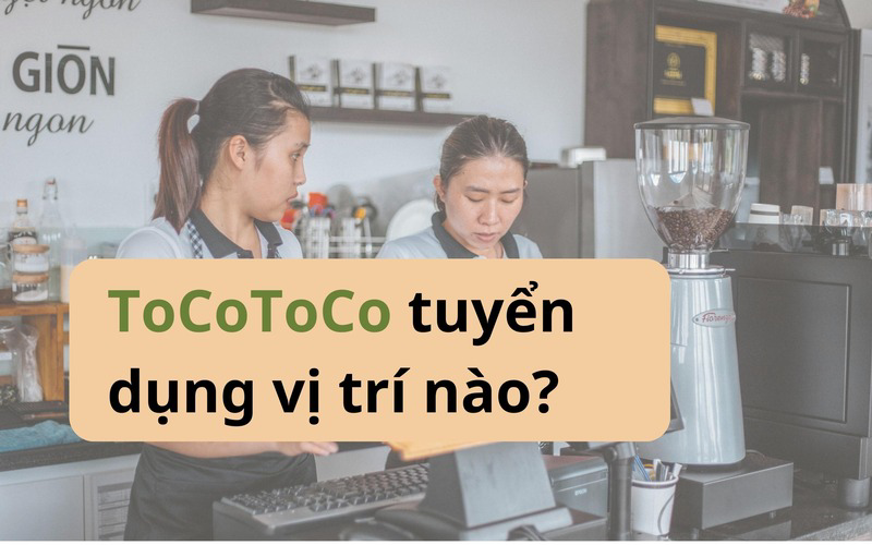 Thông tin ToCoToCo tuyển dụng cho sinh viên 2023